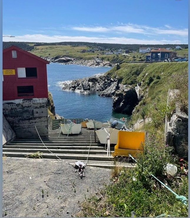 The Area - Pouch Cove Foundation